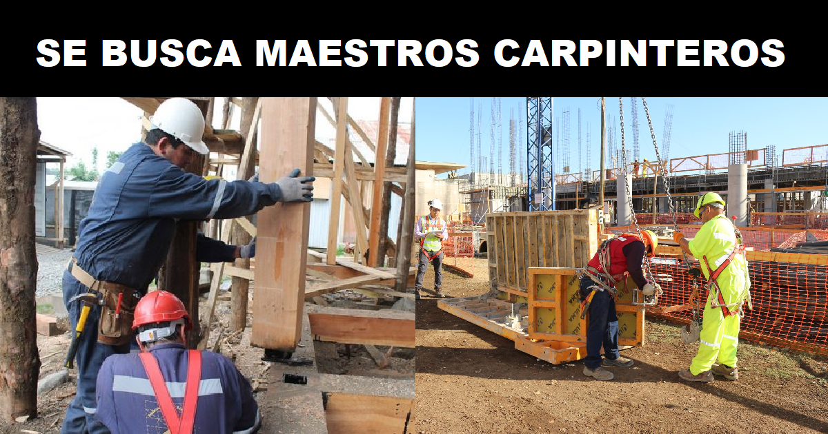 SE BUSCA MAESTROS CARPINTEROS